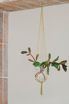 Dear Rae Jewellery | Handcrafted in Solid Metals Only